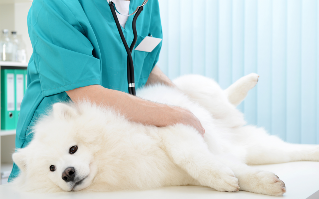 L'uso del cryopen per il trattamento delle piccole neoformazioni cutanee